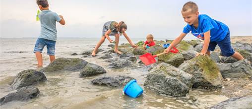 Alle informatie over Ardoer Scheldeoord | ParkExplorer